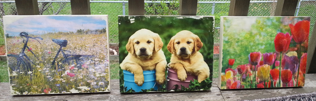 Spring Renewal. ART and MEDITATION WORKSHOP | Art One Academy